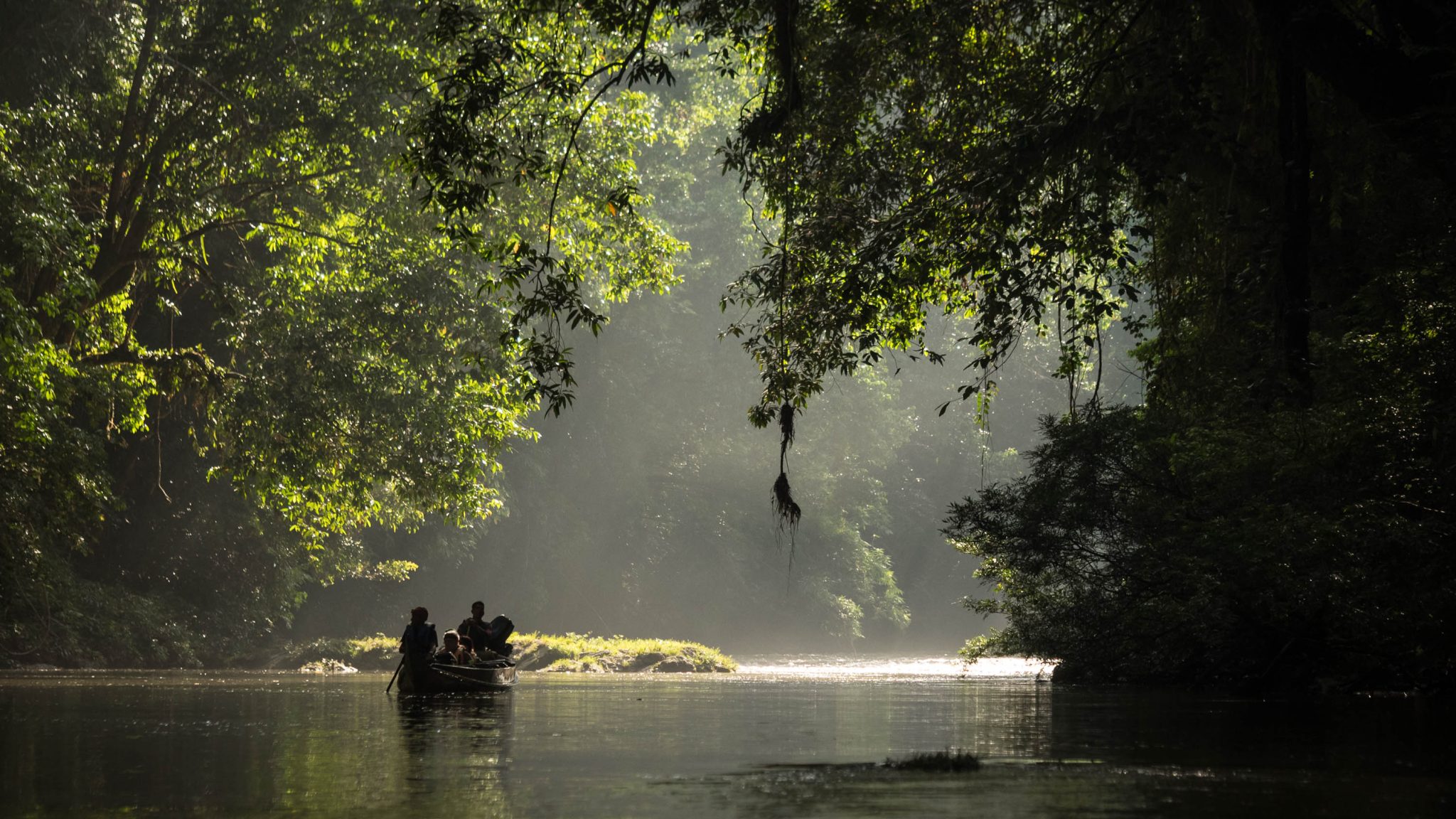 Educational Framework – Institute of Austere & Emergency Sciences